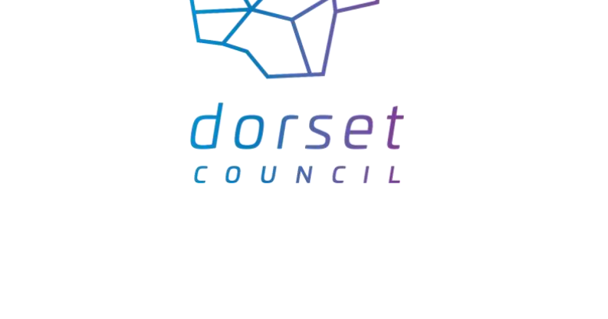 Dorset Council Logo Nominate Your Dorset Volunteer Hero